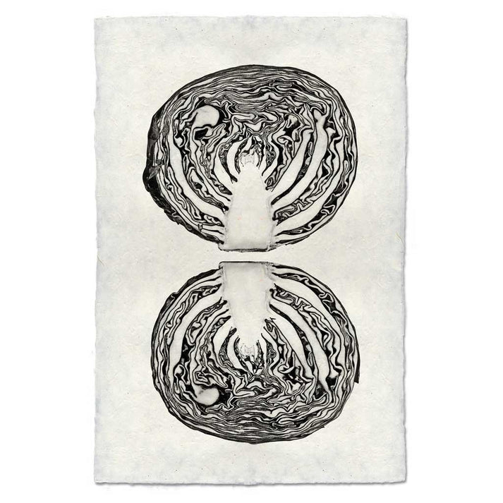 Cabbage Handmade Paper Wall Art Print - Hudson Grace