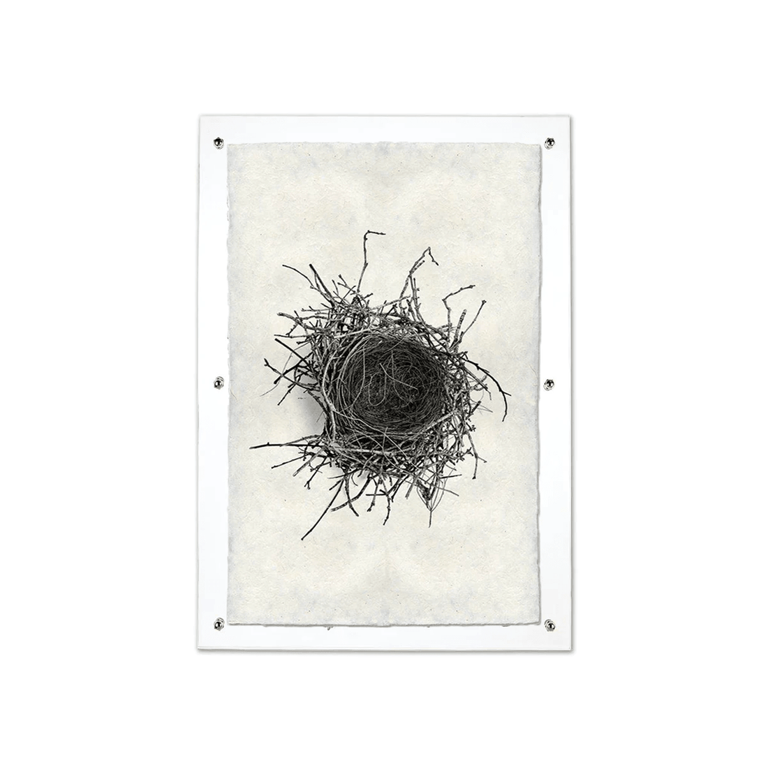 Nest Study #2 Handmade Paper Wall Art Print - Small (9 x 14) / Black ...