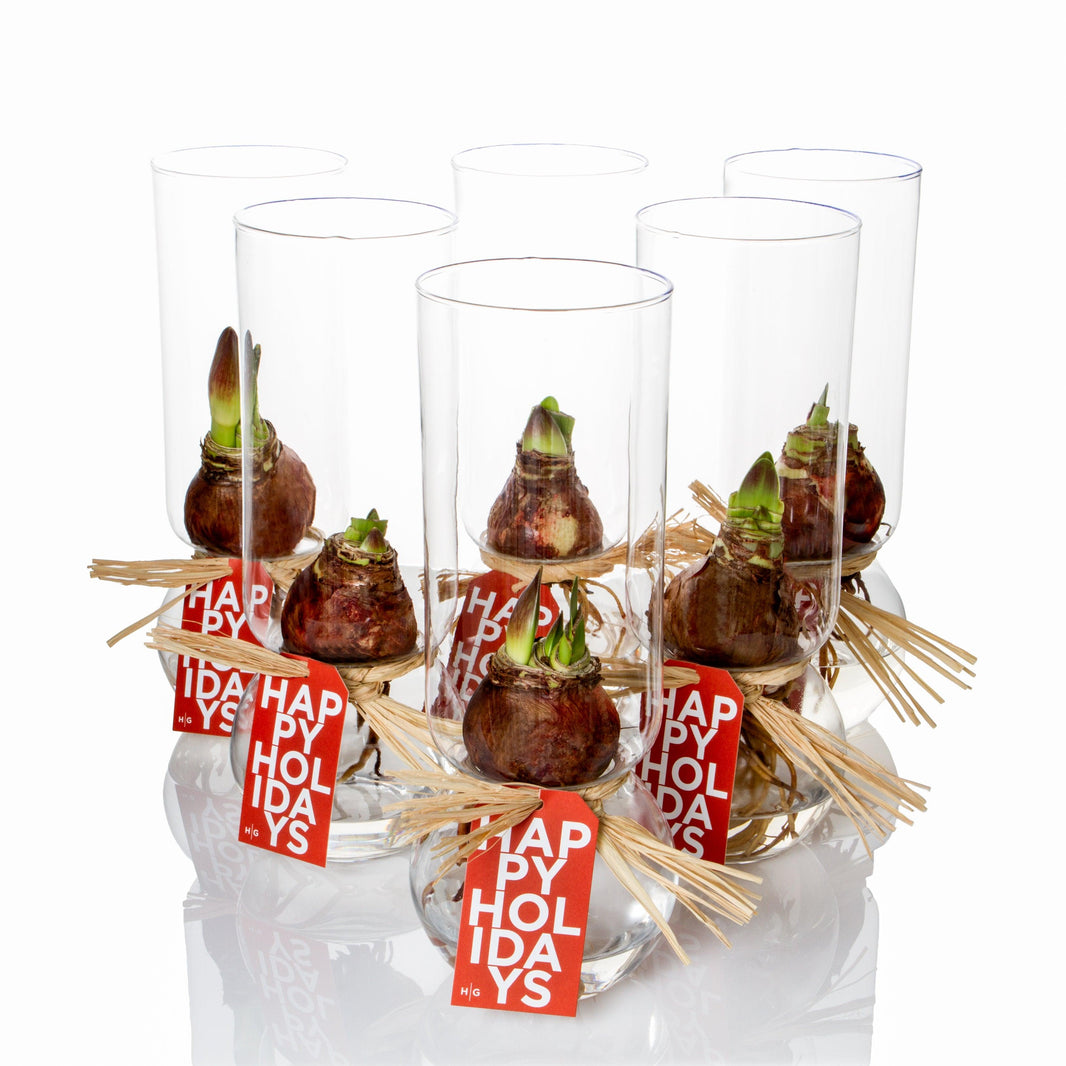 Vases - Hudson Grace - Hudson Grace